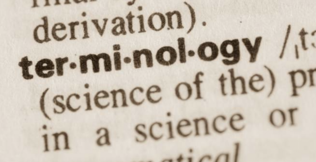 AQE Scoring Explained